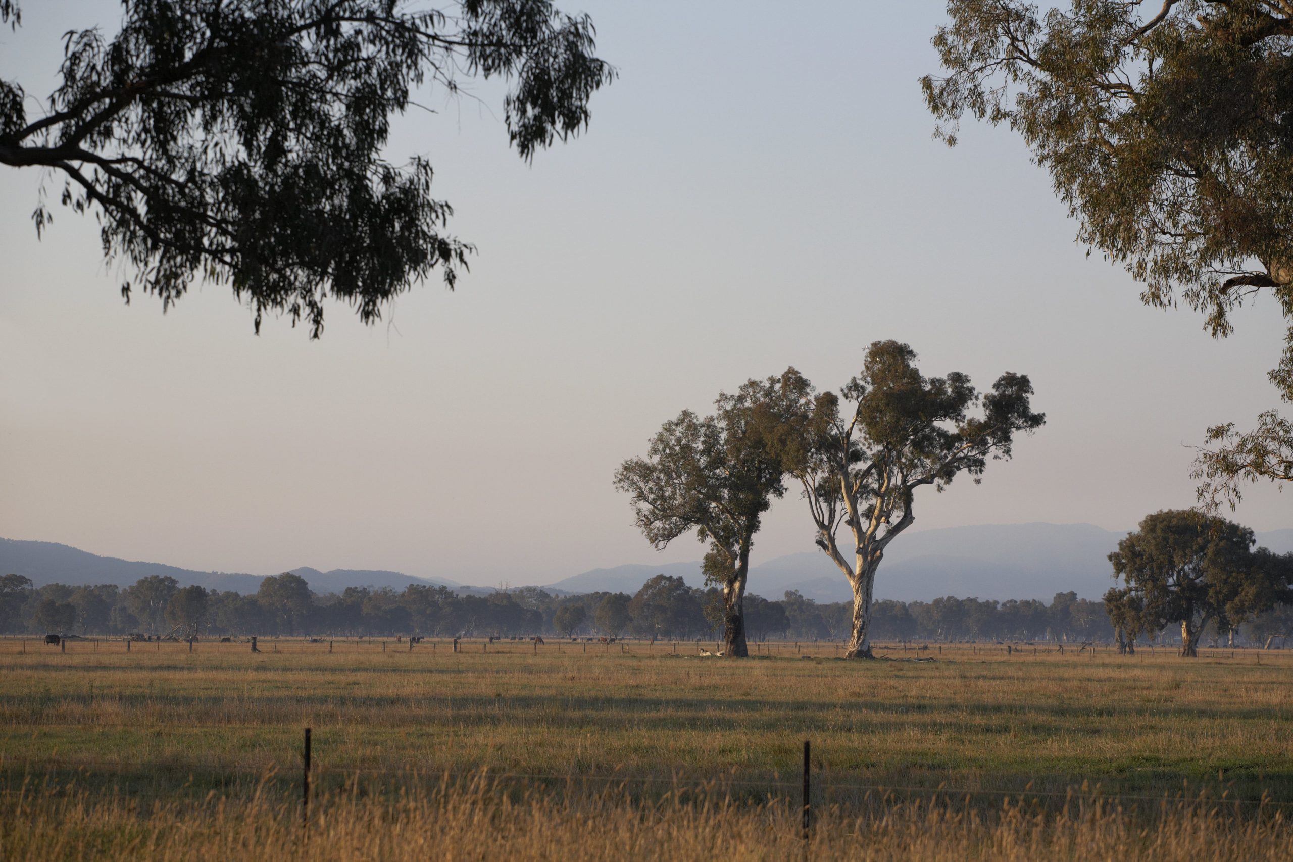 Hamilton Billboard Advertising | Gawk Outdoor